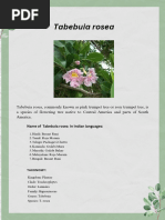 Class 9 Case Study Questions on Tissues | PDF | Tissue (Biology ...