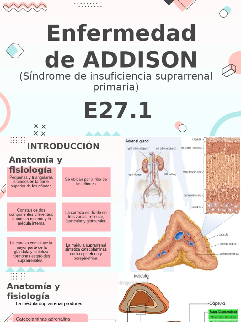 Síntomas y tratamiento de Addison | PDF | Glándula suprarrenal ...