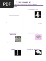 Steps in Making A Druggist or Pharmacy Fold PDF Version PDF | PDF ...