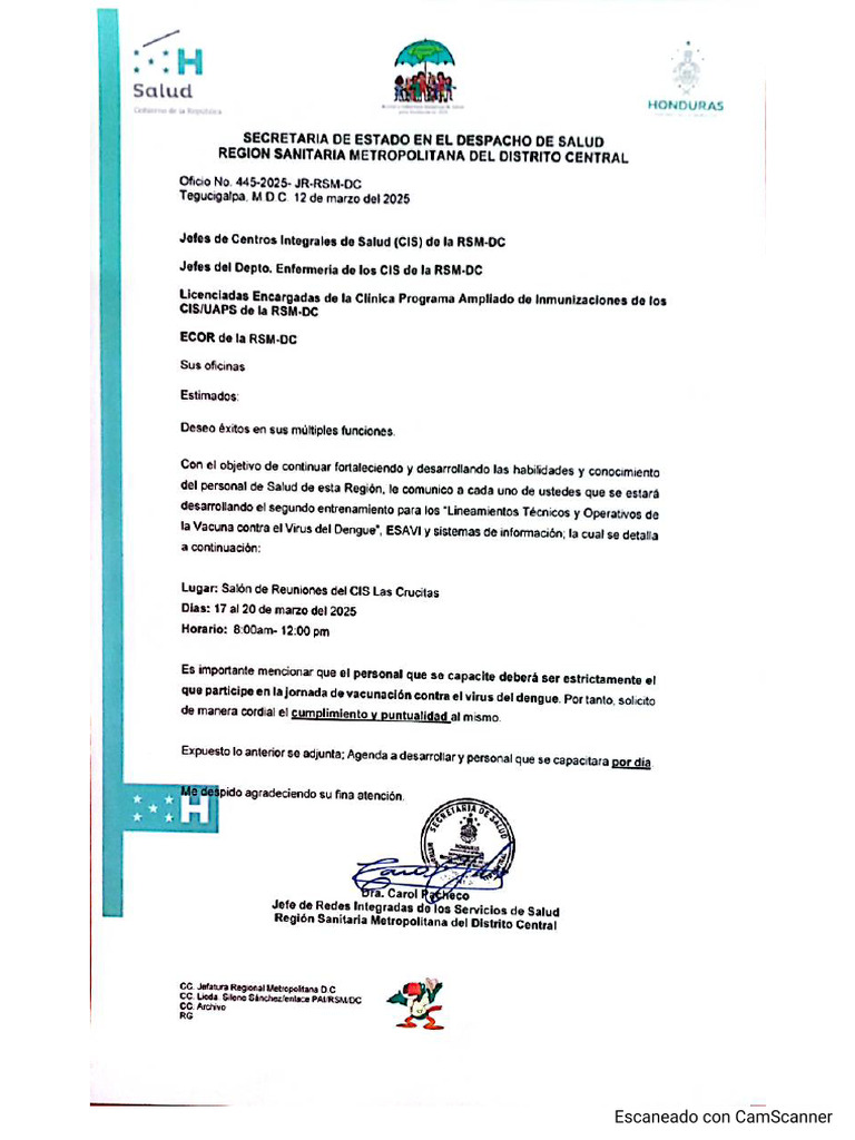 Oficio n.445 2025 Riss RSM DC | PDF
