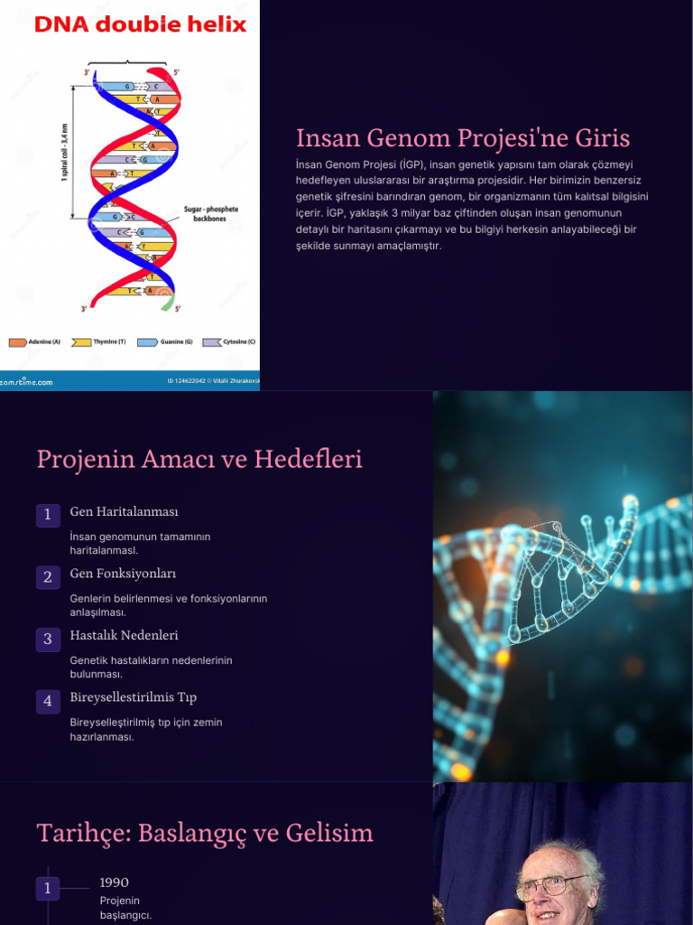 Insan Genom Projesi | PDF