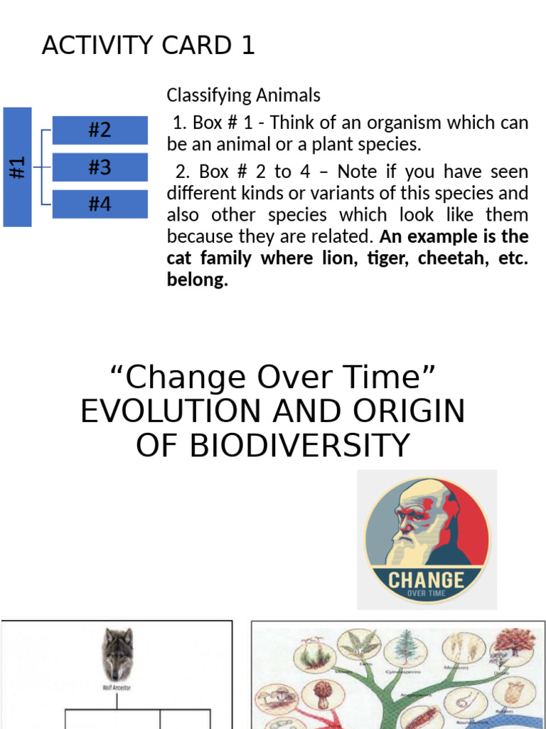 Module 7 Change Over Time Evolution and Origin | PDF | Hybrid (Biology ...