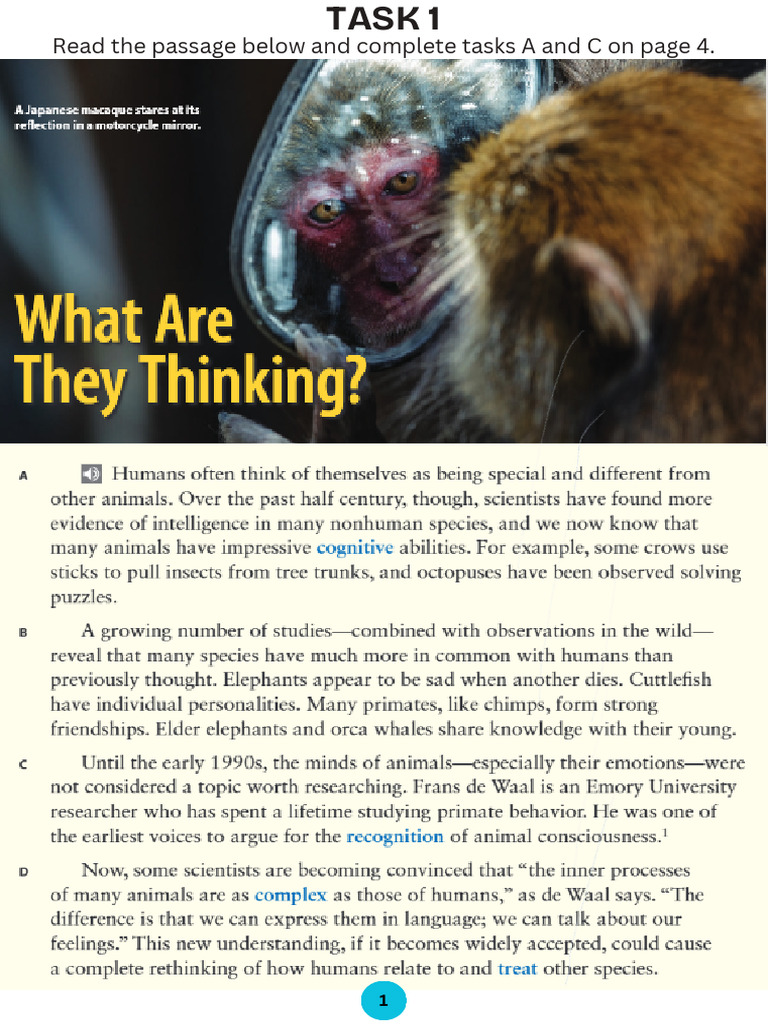 Muhammad Akil Danial Bin Sazili | PDF