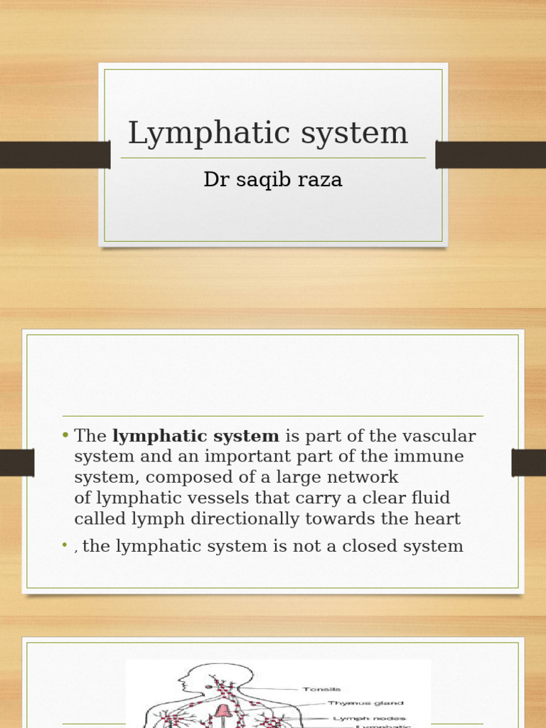 Lymphatic System | PDF | Lymphatic System | Lymph Node