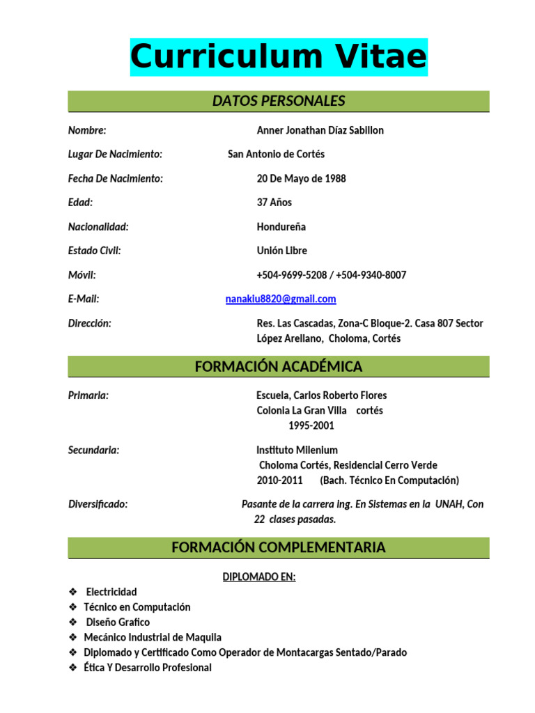 Currículum Jonathan 2025 | PDF