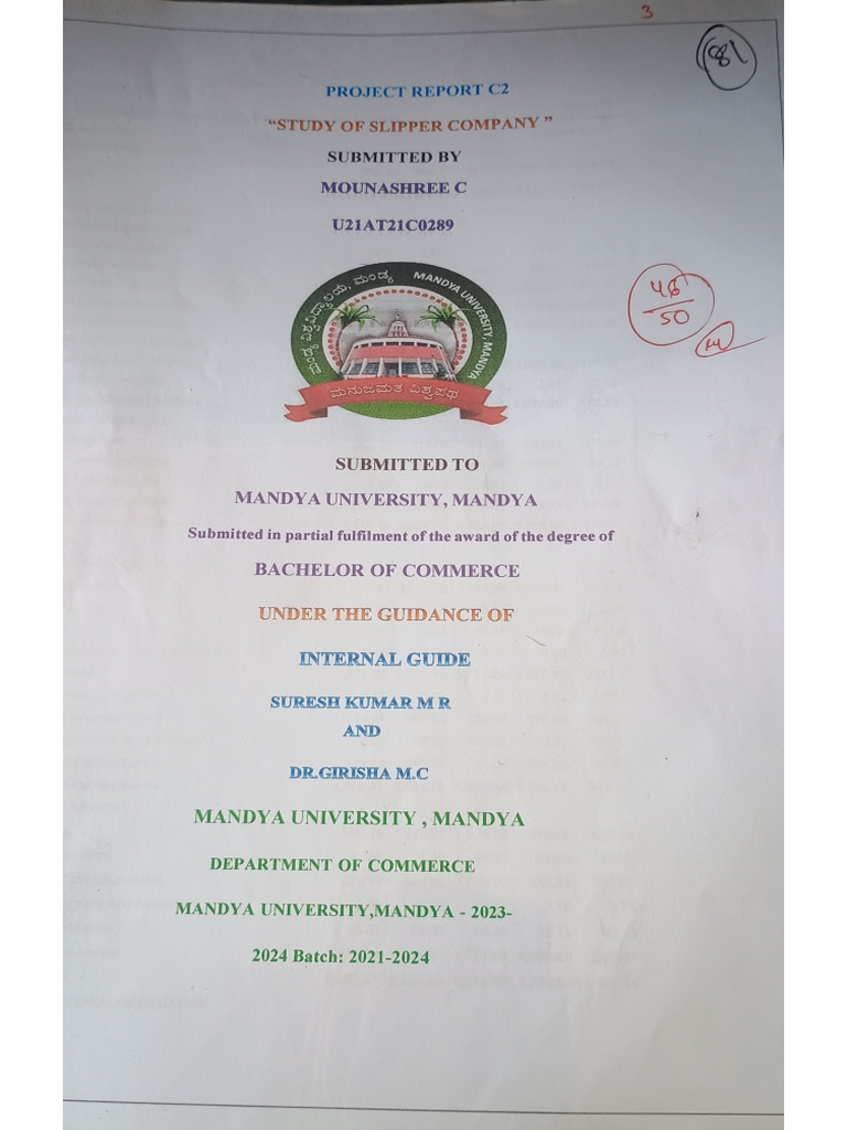 C2 Internship Topics | PDF