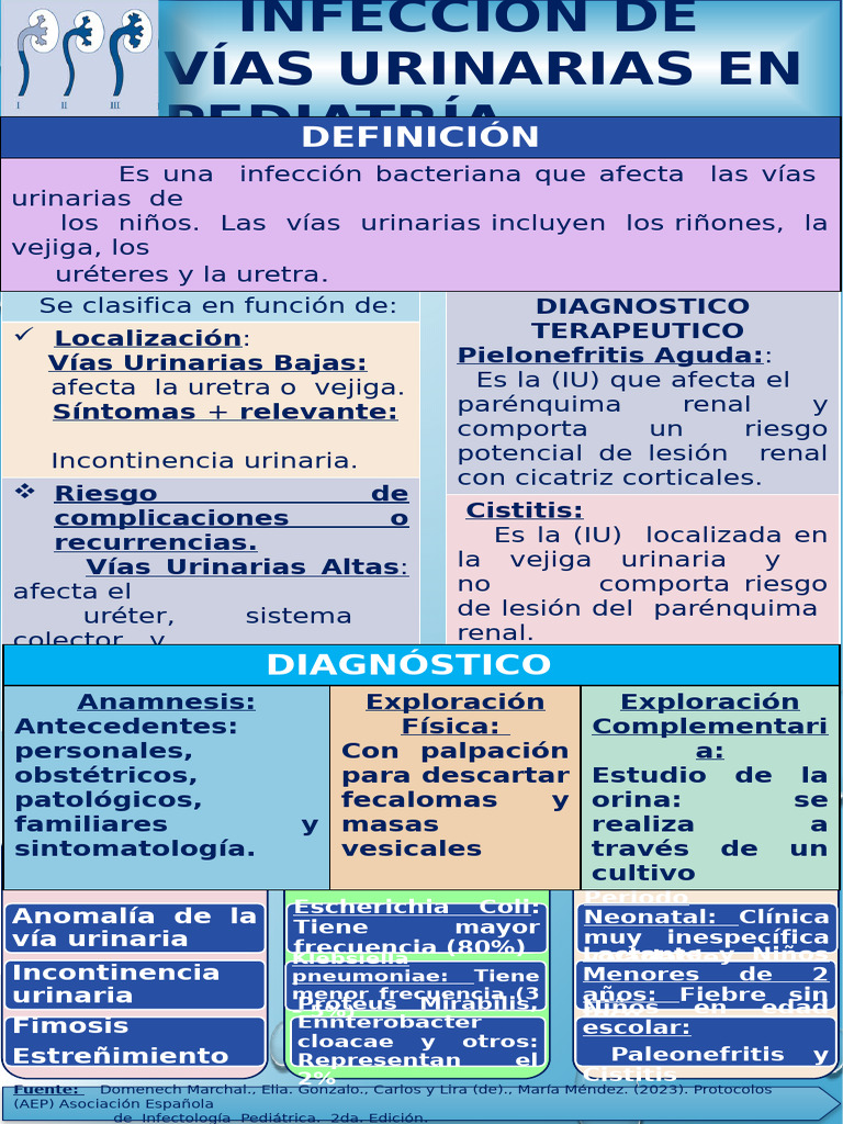 Afiche Infeccion Orinaria | PDF | Sistema urinario | Riñón