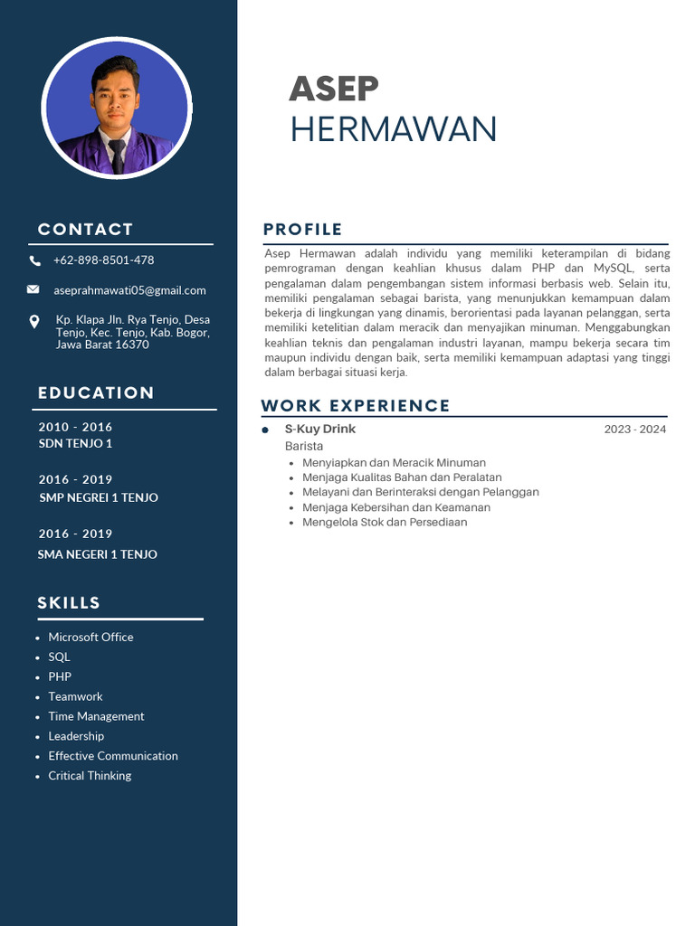 CV Profesional Asep Hermawan | PDF