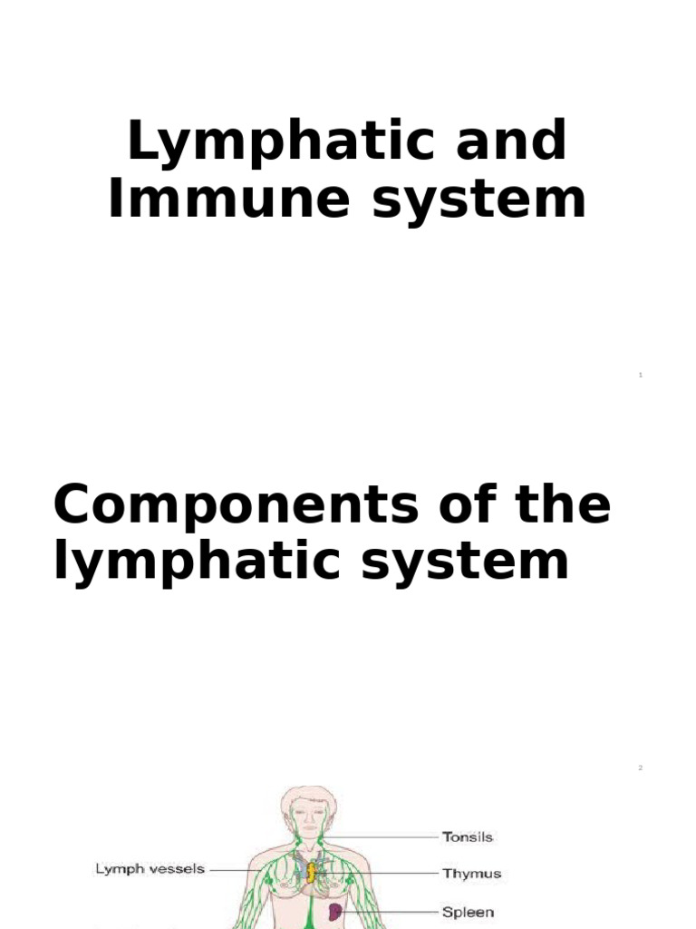 Unit 10 Lymphatic and Immune System | PDF | Lymph | Immune System