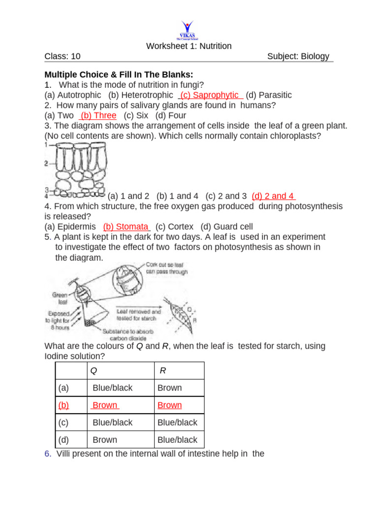 Vikas The Concept School Biology Life Processes Worksheet 1 With ...