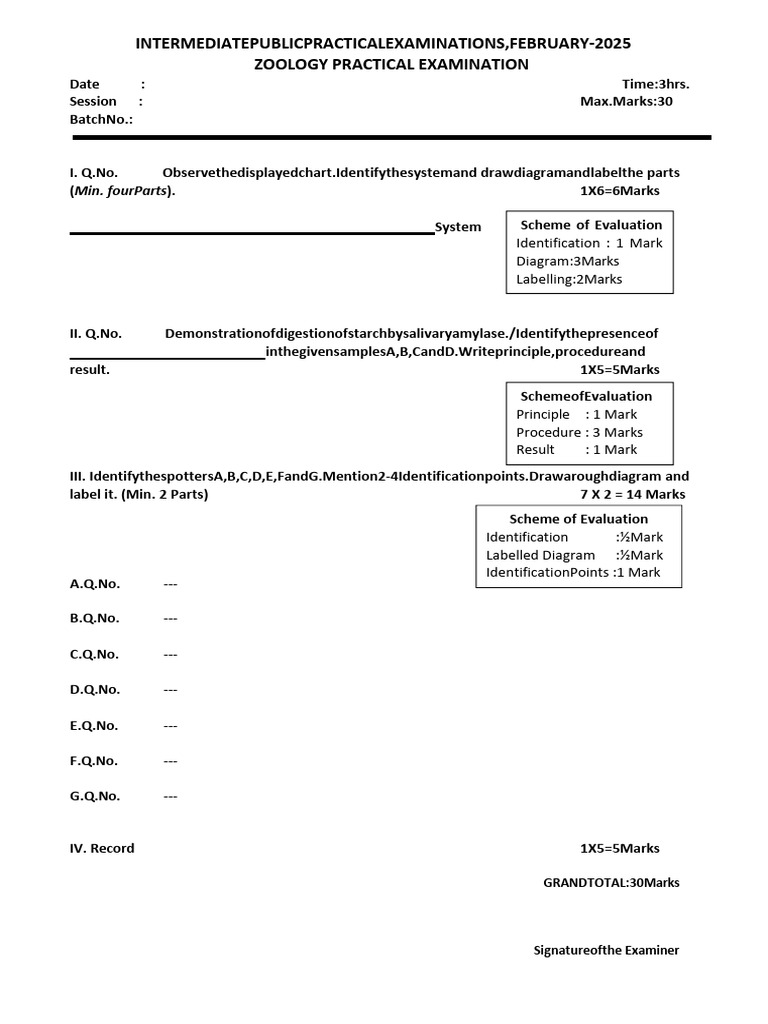 Zoology Practical Question Paper | PDF