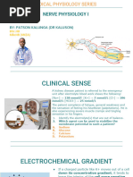 Metaneuron Manual | PDF | Inhibitory Postsynaptic Potential | Membrane ...