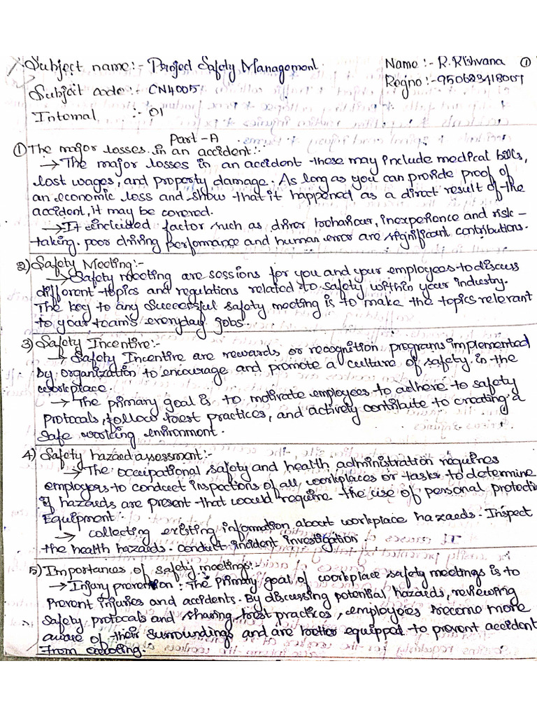 Project Safety Management 1 | PDF