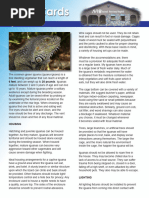 Digestive Disorders in Geckos From Vetlexicon Reptile | PDF | Human ...