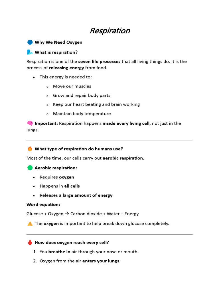 Stage 8 Chapter 1 Respiration Topic 1 | PDF | Lung | Respiratory System