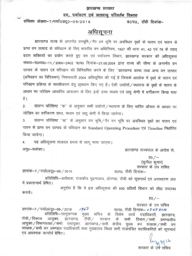 Forest Timeline | PDF