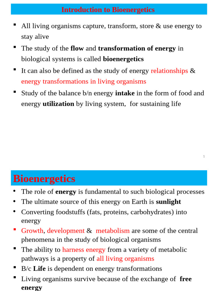 Metabolic Homeostasis Module Week-I (2014-2025) | PDF | Enzyme | Catalysis