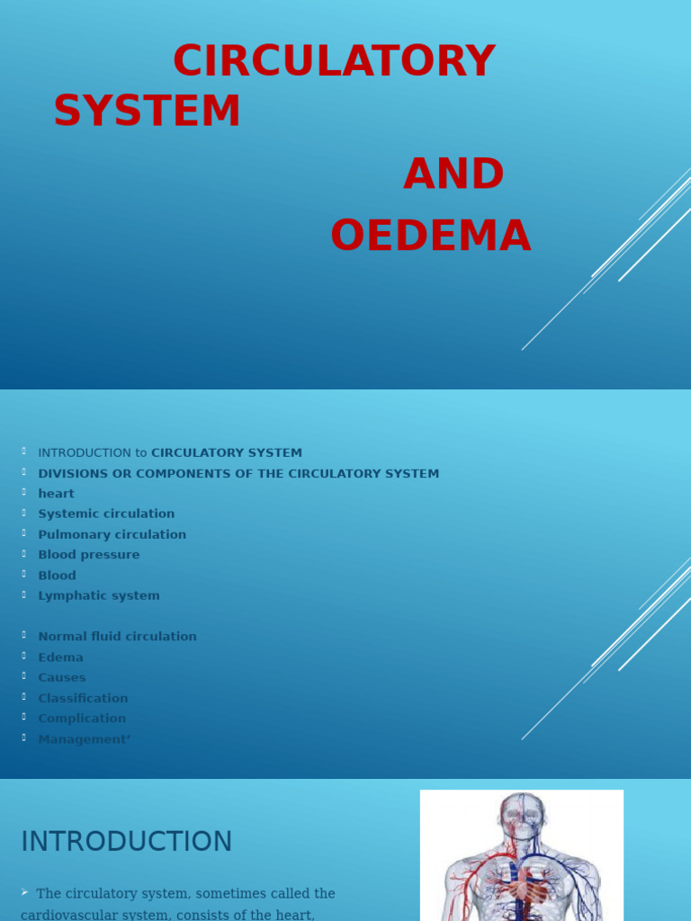 Circulatory System and Oedema | PDF | Edema | Circulatory System