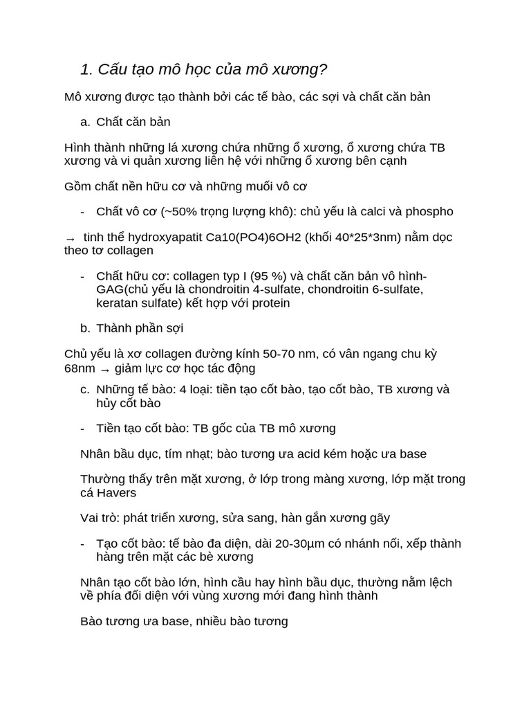 G10 Yk4 Sem1 Minh | PDF