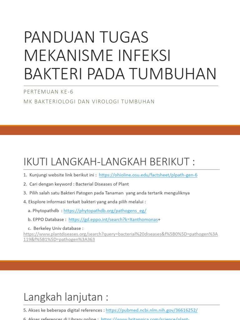 PANDUAN TUGAS MEKANISME INFEKSI BAKTERI PADA TUMBUHAN | PDF