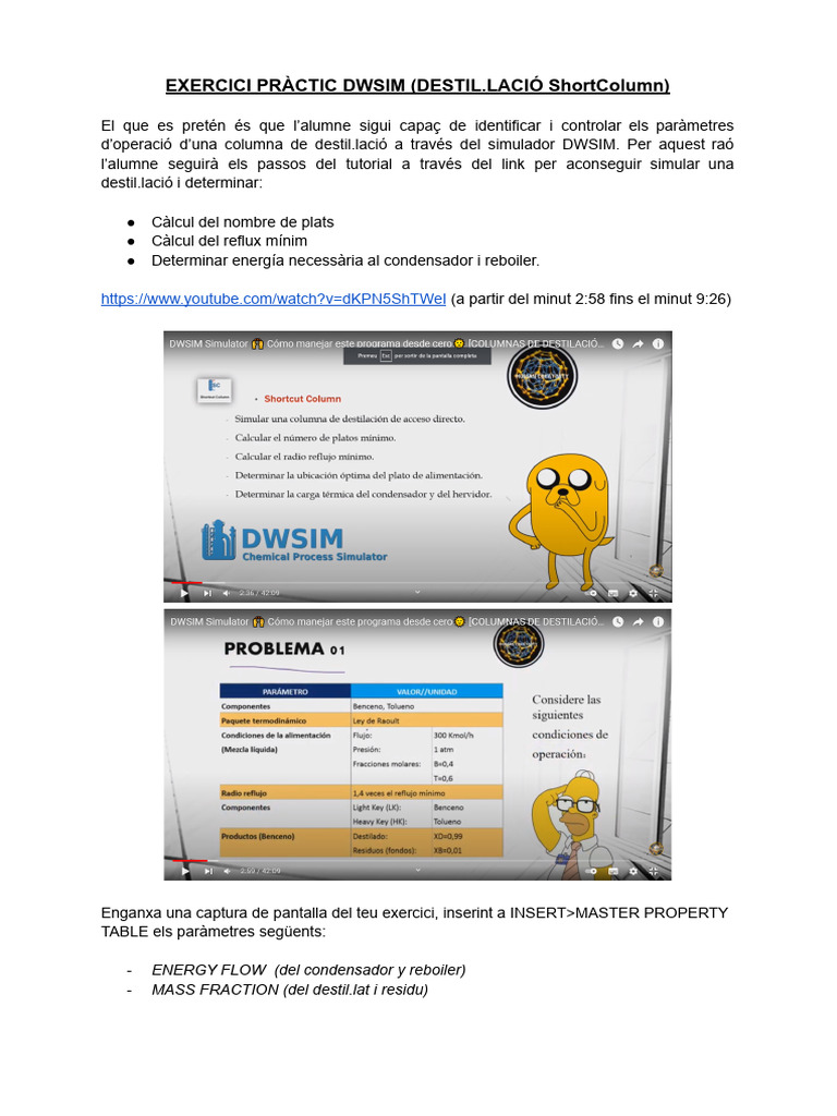 Exercici Dwsim Destil - Lació | PDF