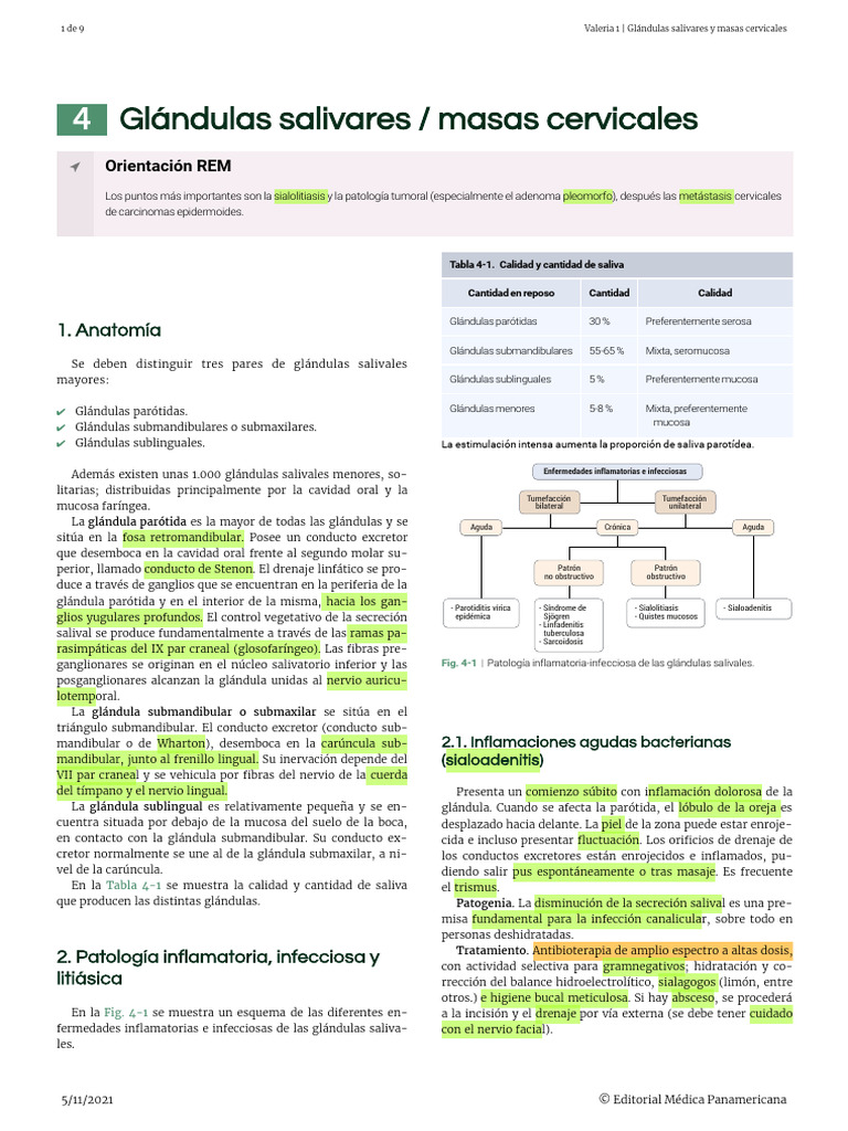 4 GL Saliv, Masas Cervic | PDF | Biopsia | Metástasis