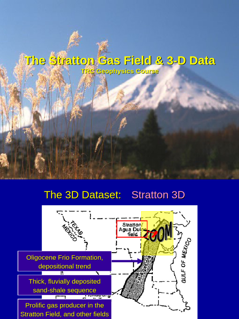 Stratton Gas Field 3D Dataset Overview | PDF