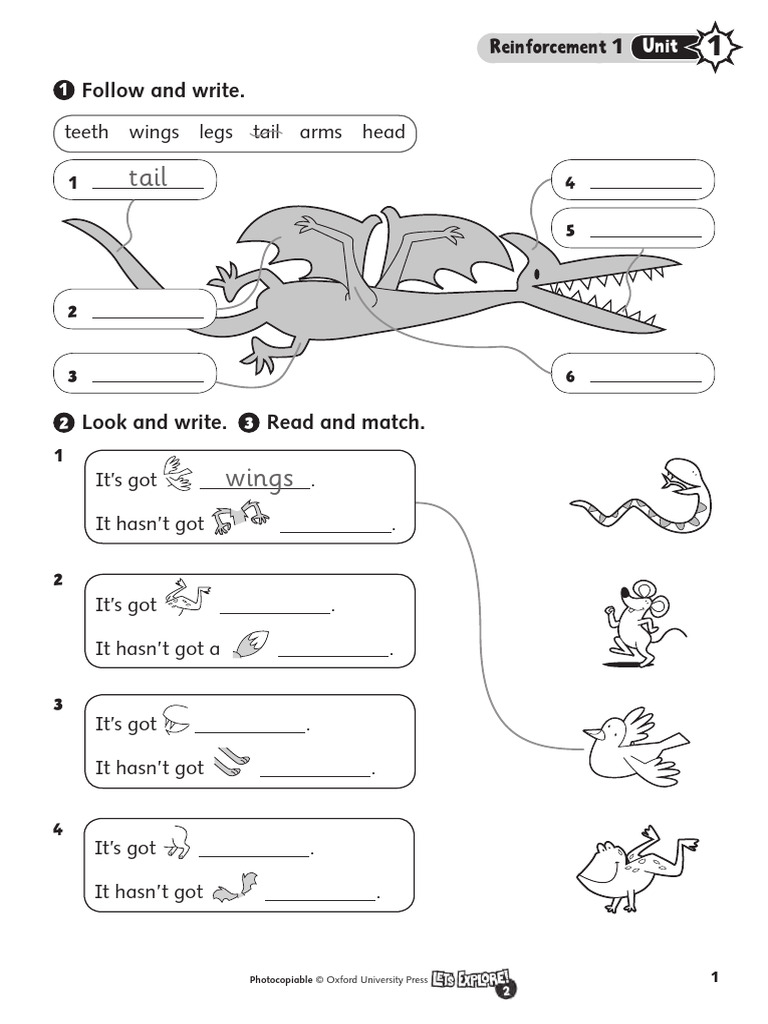 Lets Explore 2 Reinforcement Worksheets HR | PDF | Fashion | Clothing