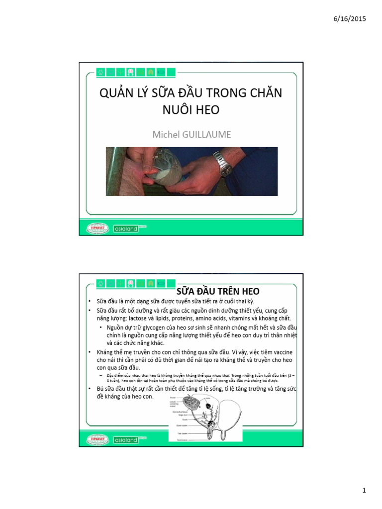 1 - COLOSTRUM in SWINE Vietnam (Compatibility Mode) | PDF