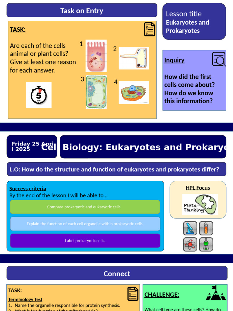 Eukaryotes and Prokaryotes Student Version | PDF | Cell (Biology ...