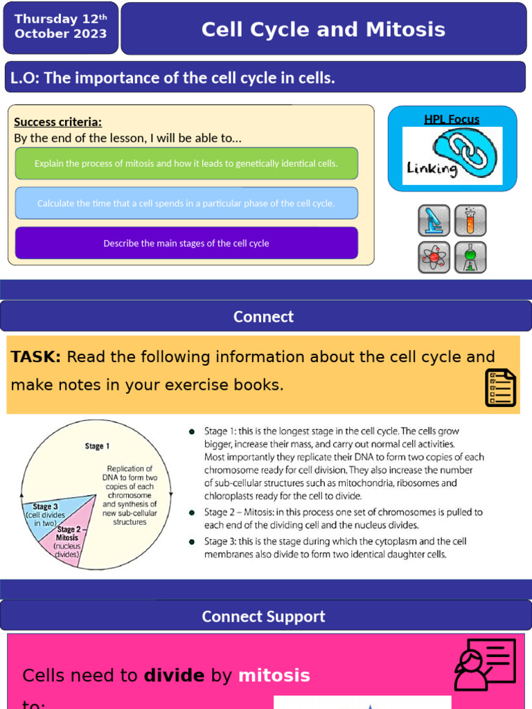 Cell Cycle and Mitosis Student Version | PDF | Cell (Biology) | Mitosis