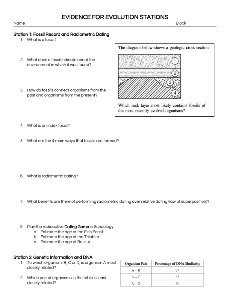 PRINT+Evidence+For+Evolution+Stations+Questions | PDF | Fossil ...
