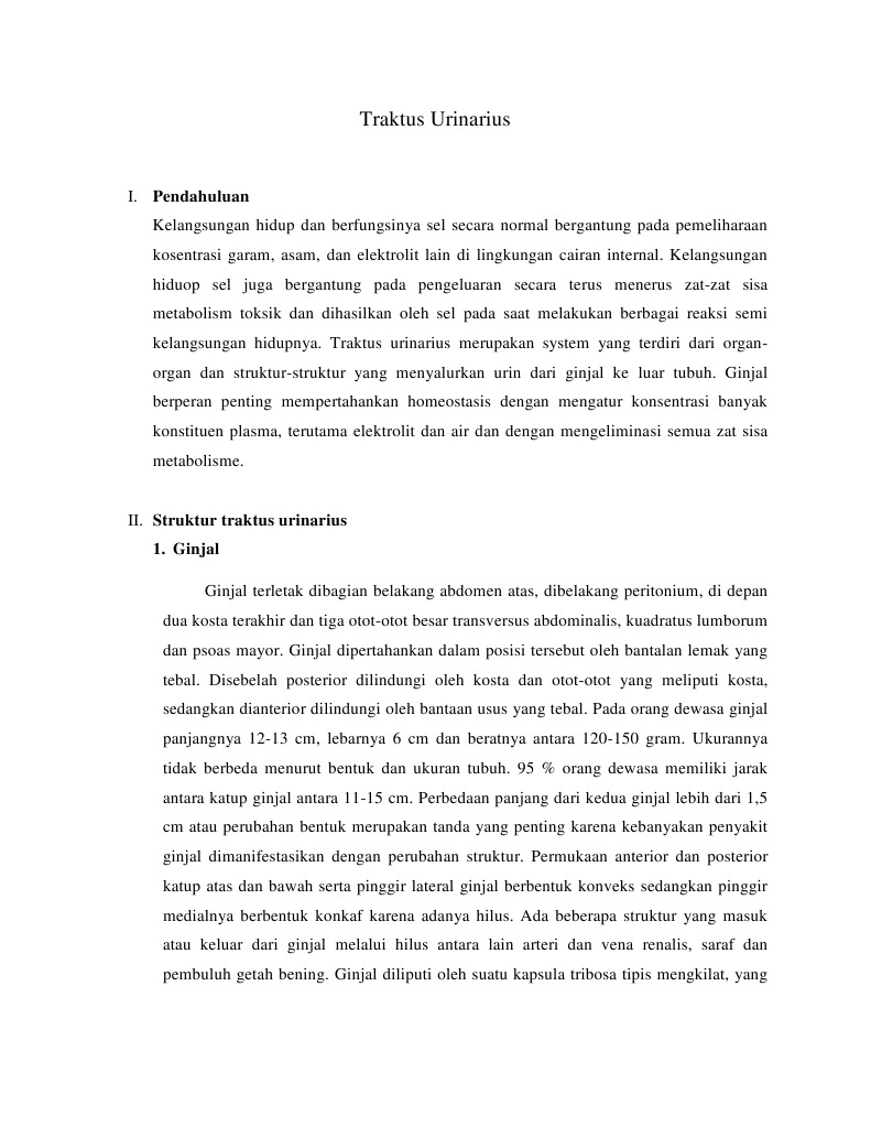 Traktus Urinarius | PDF