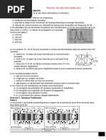 Anatomie de la Papille Optique | PDF | Nerf | Neuroscience
