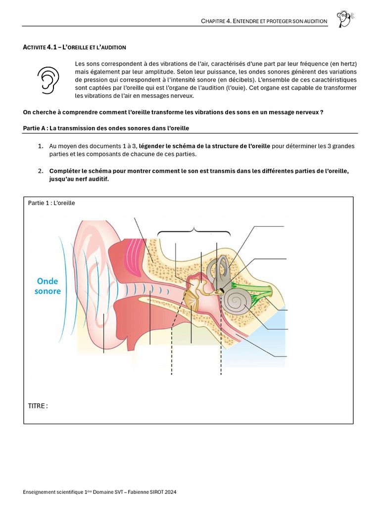 Comprendre l'audition et l'oreille | PDF | Oreille | Système auditif