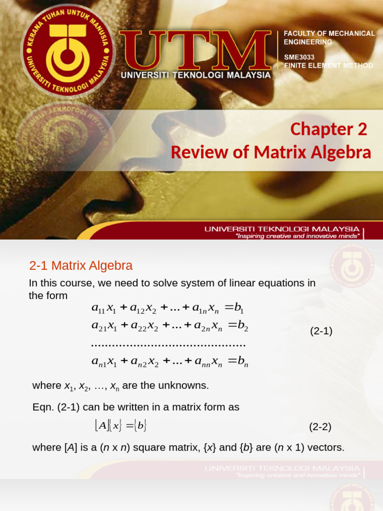 Chapter 2 Matrix Algebra | PDF | Matrix (Mathematics) | Determinant