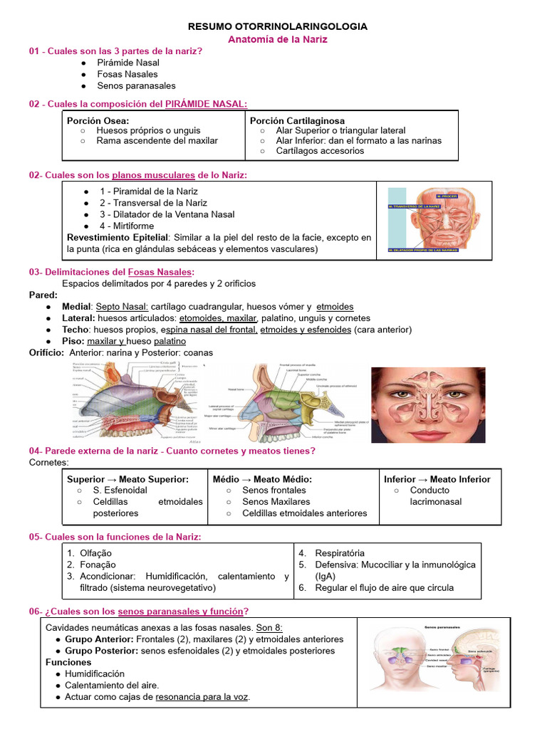 Resumo Otorrinolaringologia | PDF | Nariz humana | Alergia