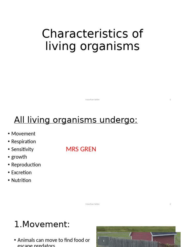 Characteristics of Living Organisms | PDF | Cell (Biology) | Chloroplast