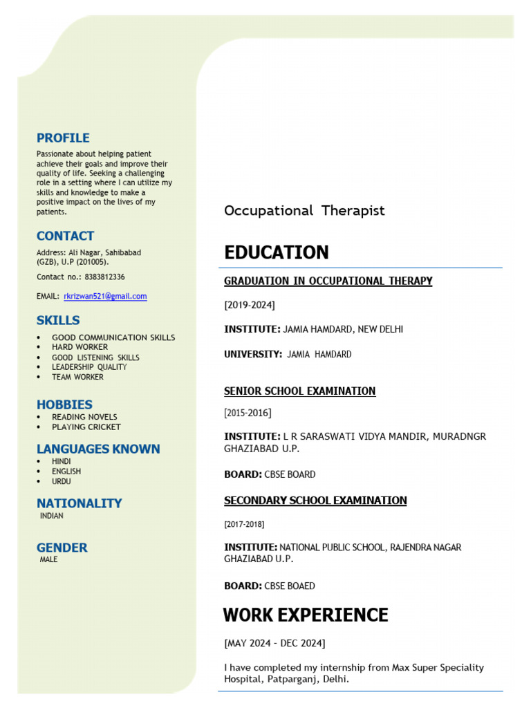 Resume Mohd Rizwan | PDF