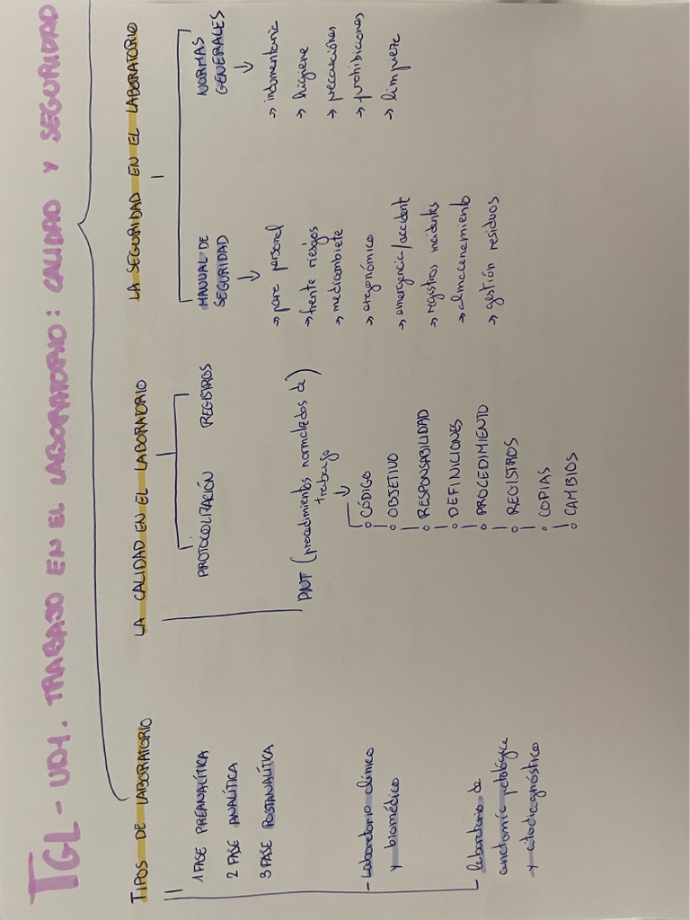 LCB- Chloé Sanchis- Mapa conceptual U1 | PDF