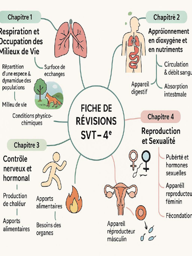 Fiche Revision SVT 4e Visuelle | PDF