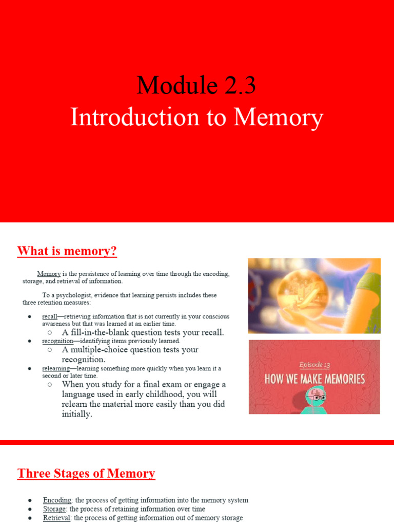 Understanding Memory: Types and Stages | PDF | Memory | Recall (Memory)