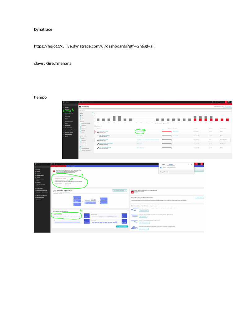 Dynatrace: Análisis con Dyna PDF | PDF