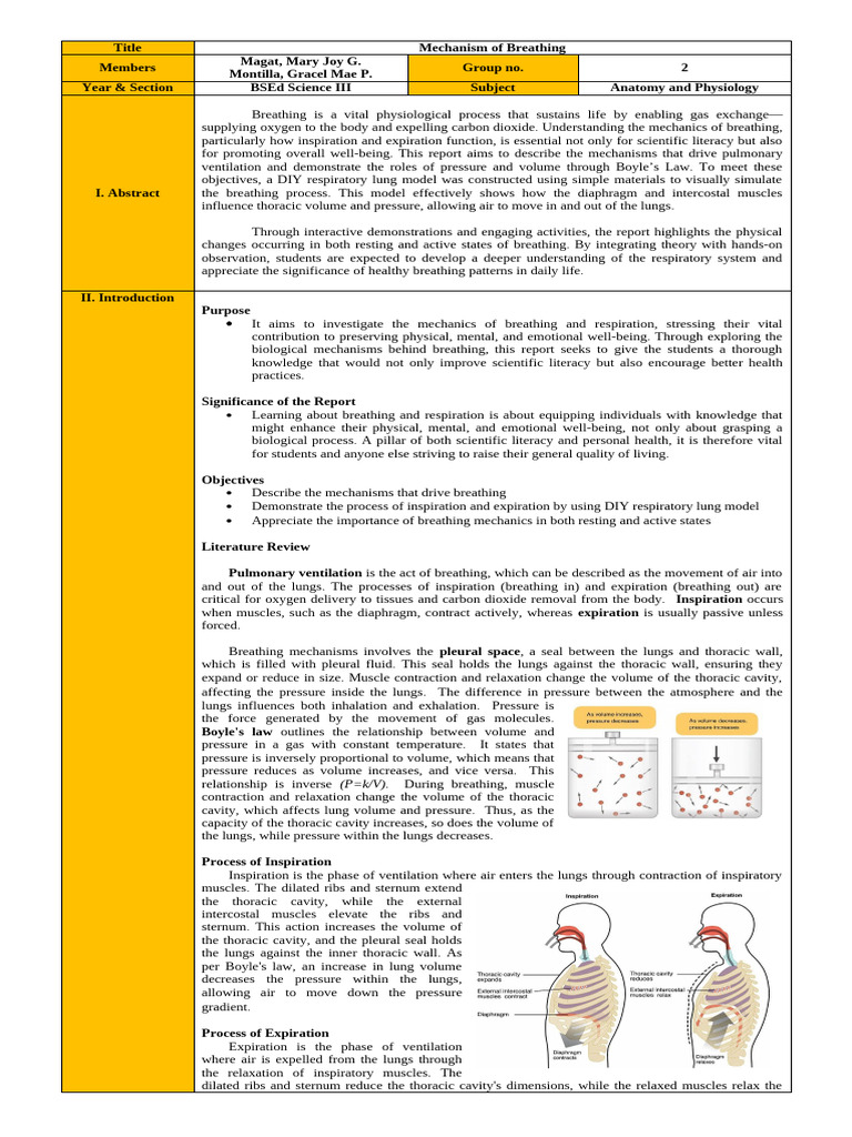 Outline of Report (ANAPHY) | PDF | Breathing | Exhalation