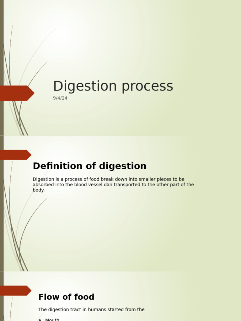 Digestion Process | PDF