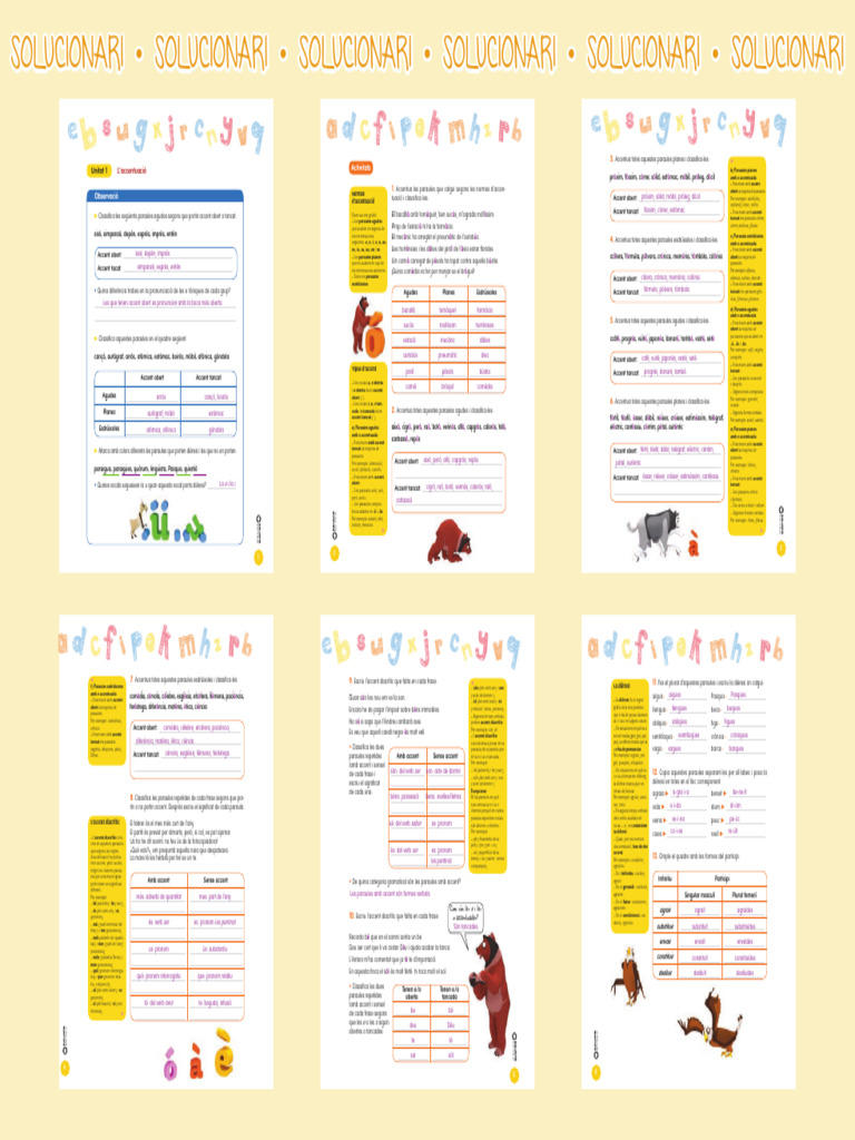 Practica Cat21 Solucionari | PDF