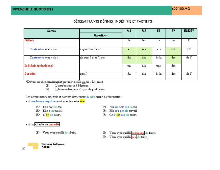 100 Grammaire Determinants Definis Indefinis Partitifs A2022 | PDF