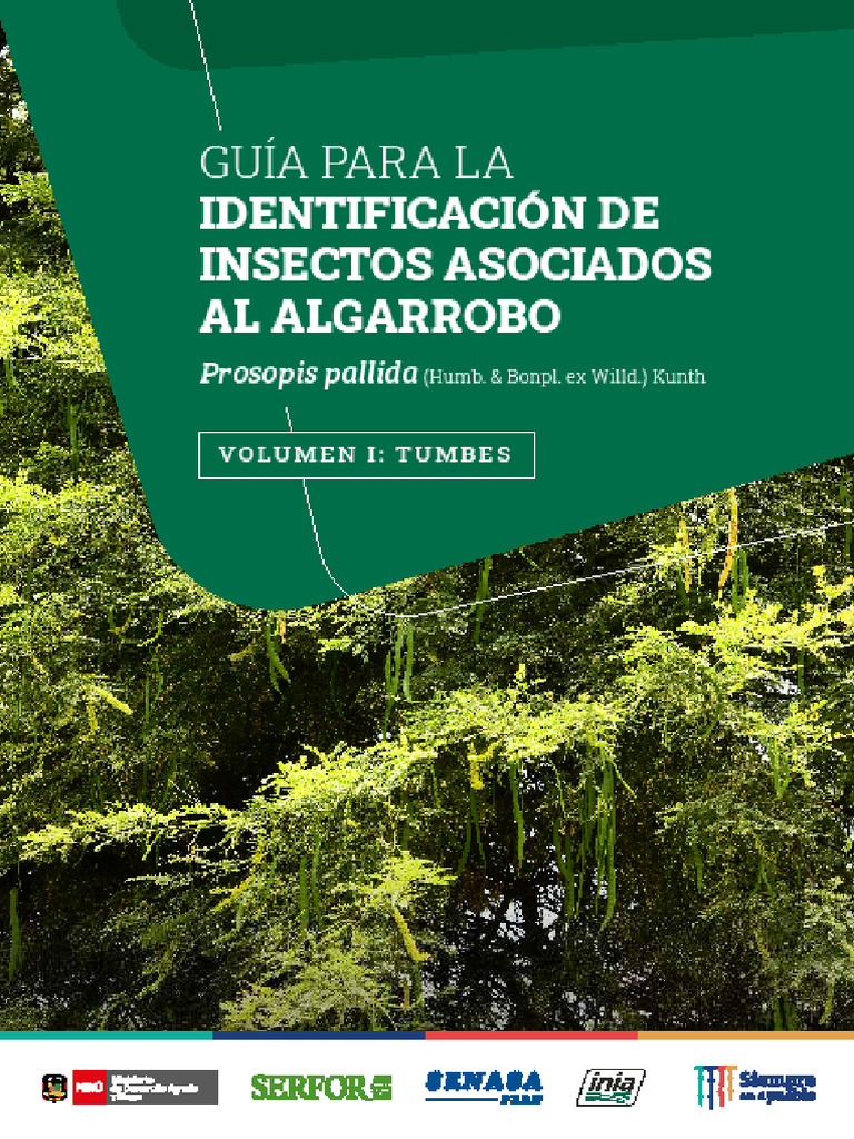 Guía para La Identificación de Insectos Asociados Al Algarrobo ...