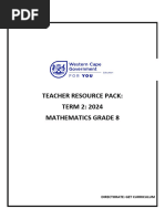 Grade 4 Term 2 2025 Tracker | PDF | Mathematics | Arithmetic