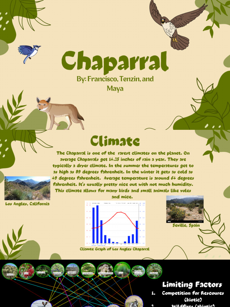 Chaparral | PDF
